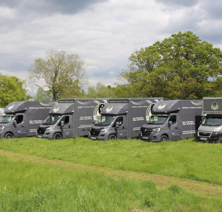 Removals Sussex | Wolves Removals
